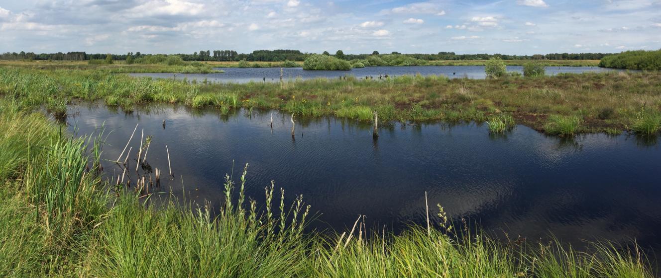 Obszary objęte normą GAEC 2 – jak zgłosić rozbieżności - Agencja ...