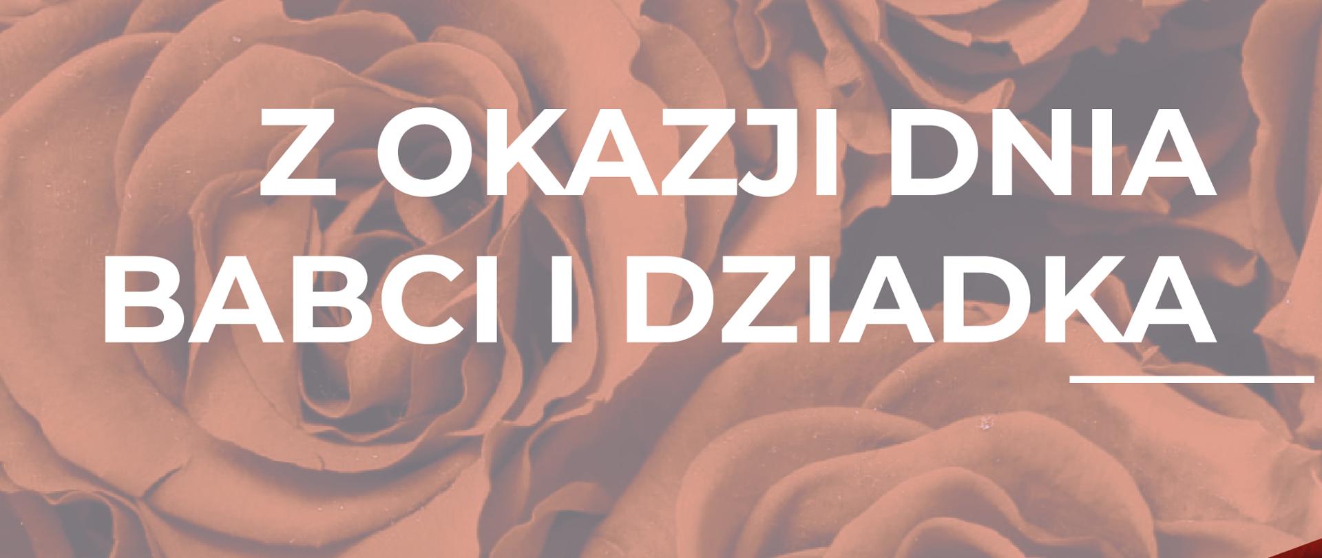 Koncert z okazji Dnia Babci i Dziadka - 23.01.2024 - Państwowa Szkoła Muzyczna I stopnia w ...