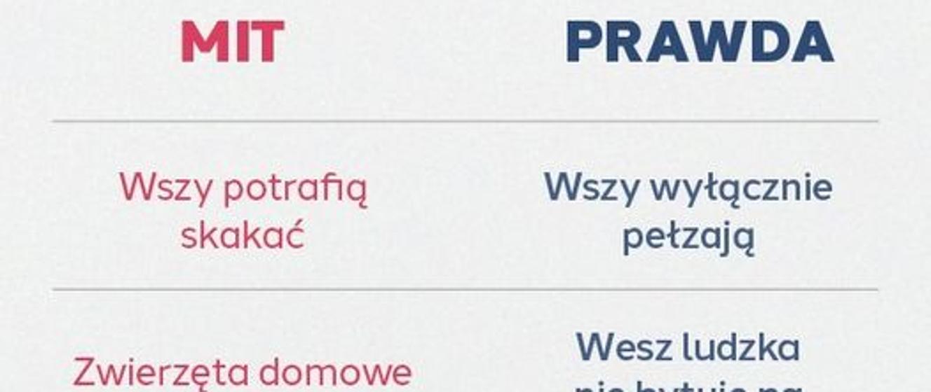 Wszawica – leczenie i zapobieganie. Fakty i mity o wszawicy - Powiatowa ...