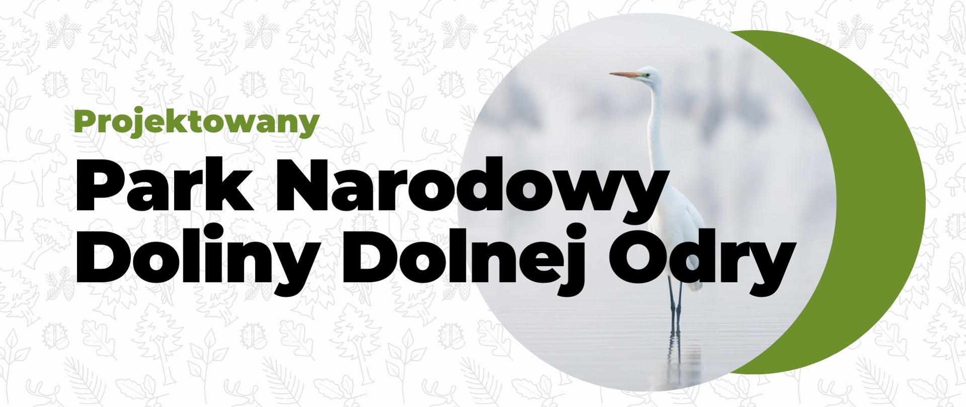 Projektowany Park Narodowy Doliny Dolnej Odry - Ministerstwo Klimatu i ...