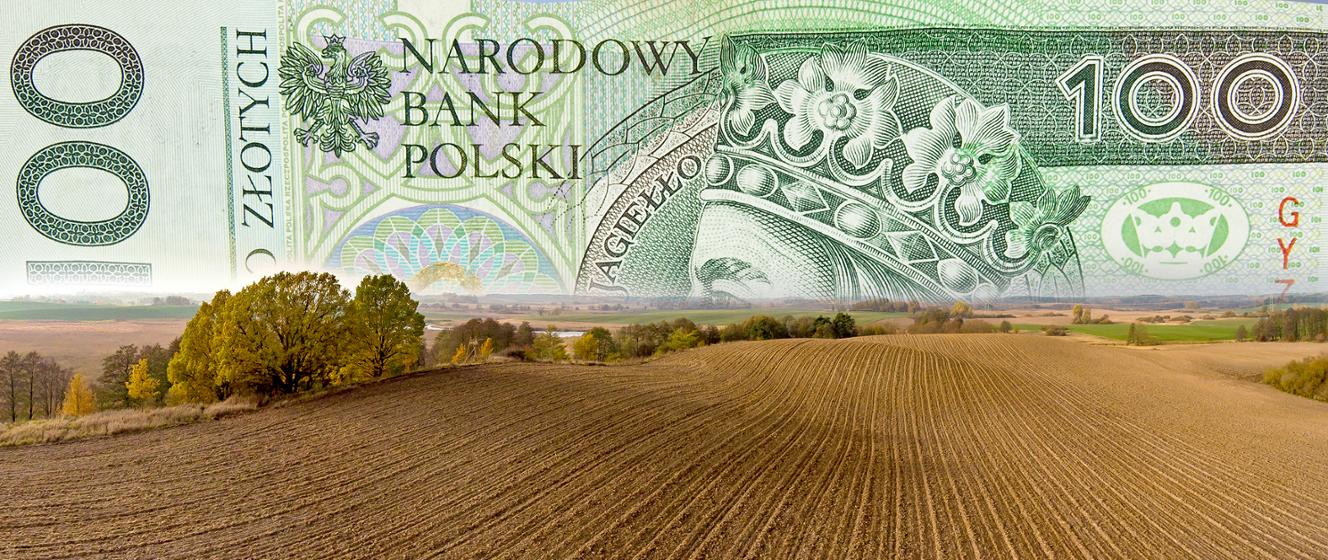 Dopłaty bezpośrednie i obszarowe z PROW za 2022 rok – realizacja wypłat ...