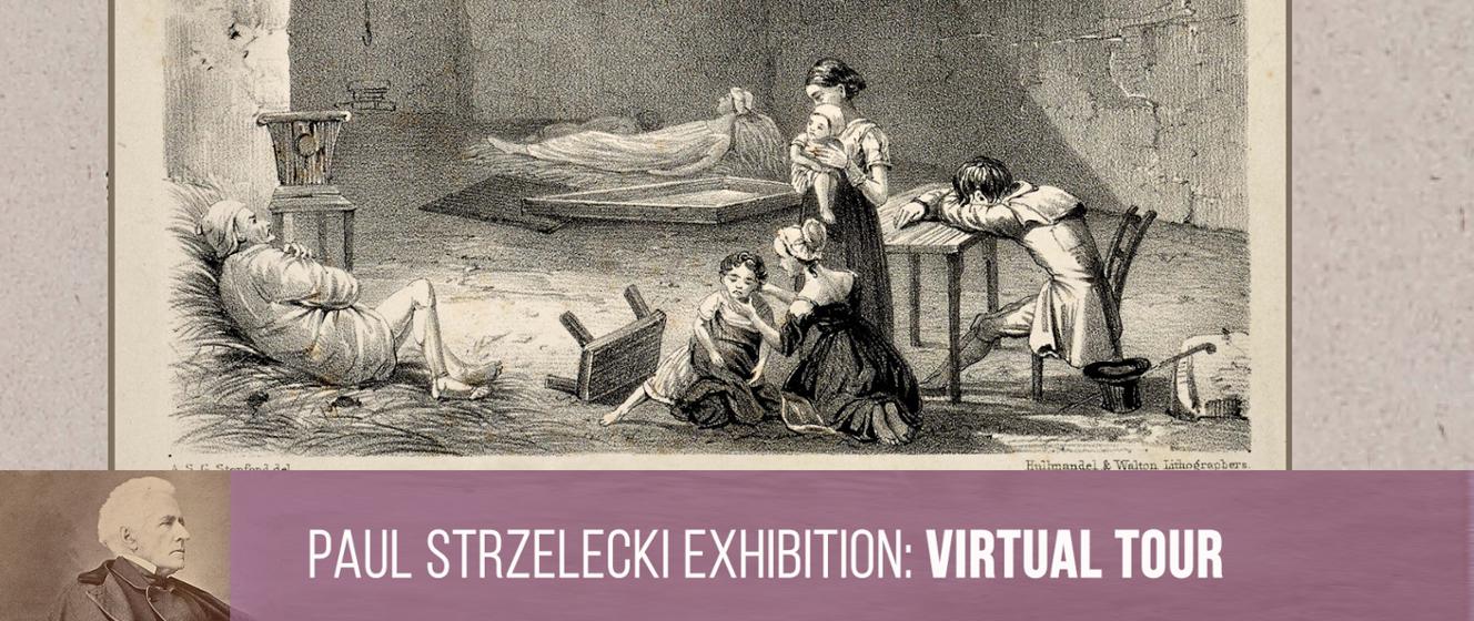 Virtual Tour of the Paul Strzelecki Exhibition - Poland in Ireland ...