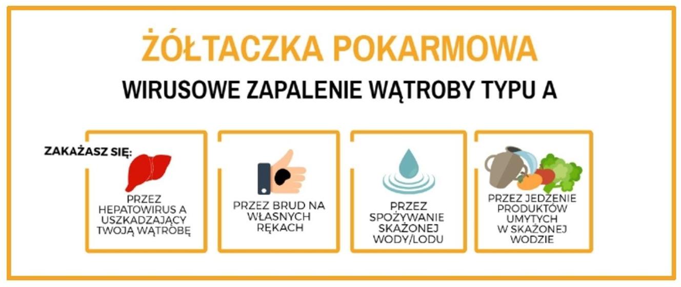 Wirusowe zapalenie wątroby typu A (WZW A) - Powiatowa Stacja Sanitarno ...