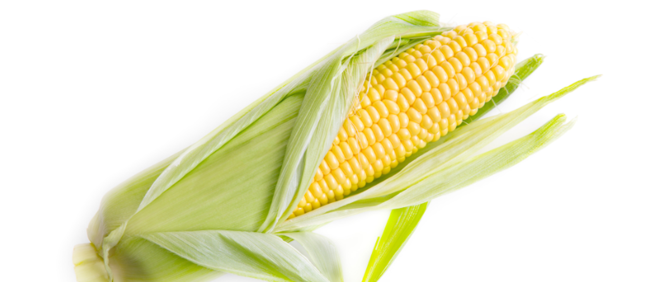 bez GMO - Wojewódzki Inspektorat Jakości Handlowej Artykułów Rolno ...