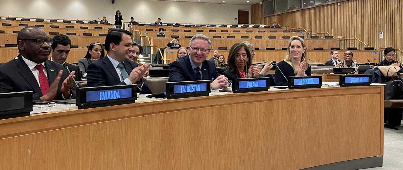 Ambassador Szczerski elected as Vice-President of the UNICEF EB Bureau ...