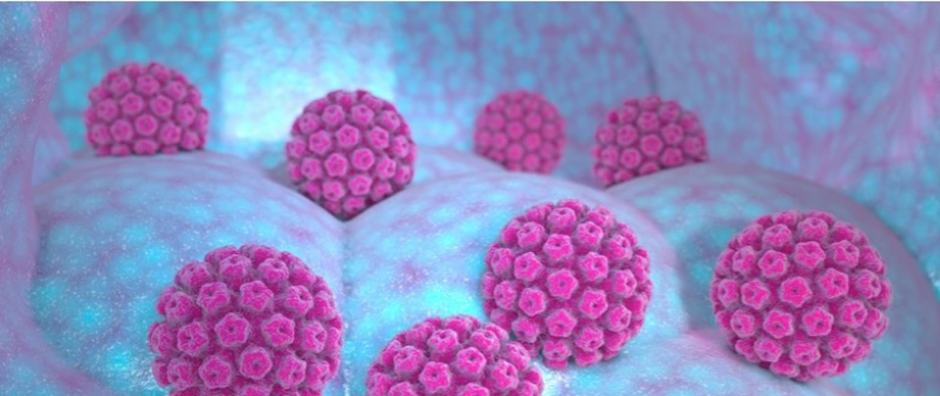 Szczepienia przeciw HPV - Powiatowa Stacja Sanitarno-Epidemiologiczna w Jędrzejowie - Portal Gov.pl