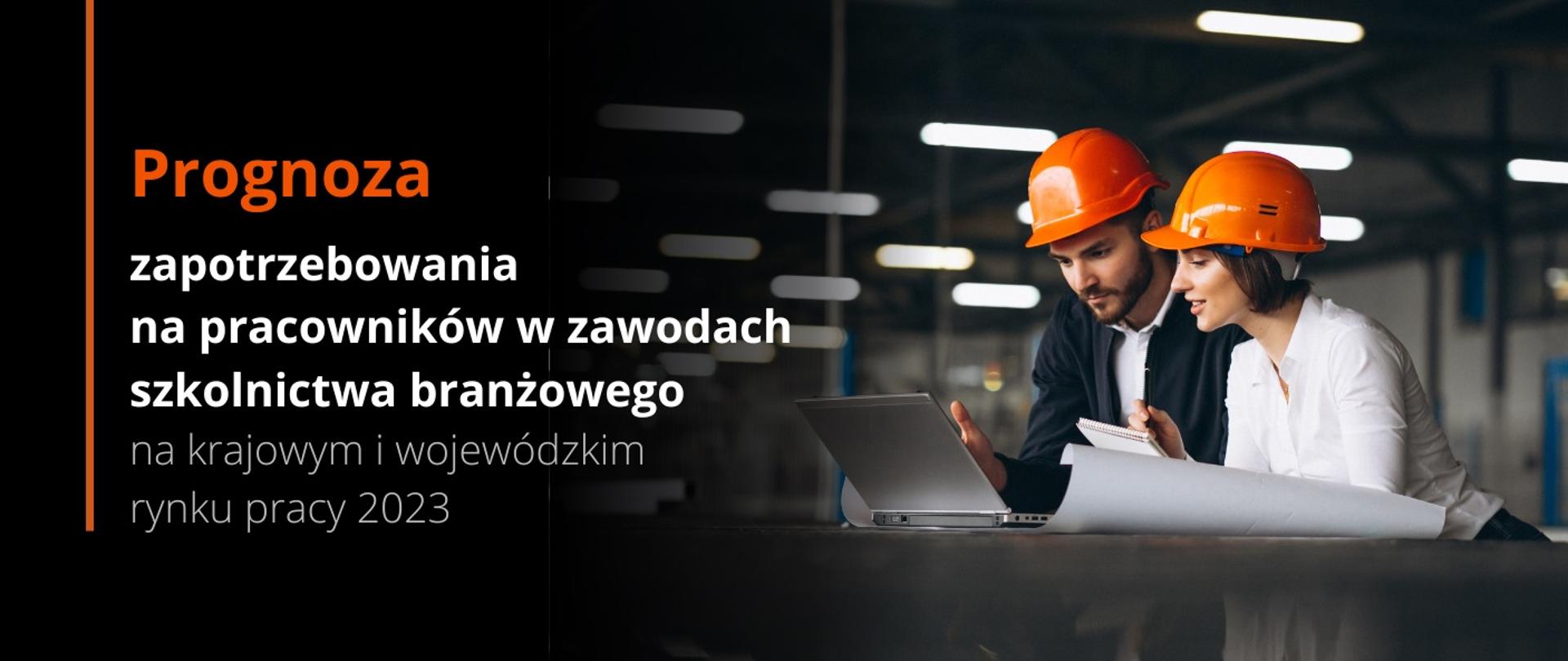 Prognoza zapotrzebowania na pracowników w zawodach szkolnictwa branżowego na krajowym i ...