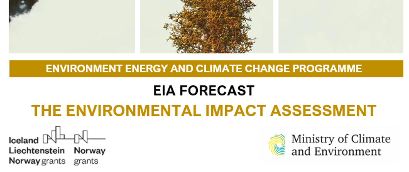 Programme Environment, Energy and Climate Change - EIA Forecast ...