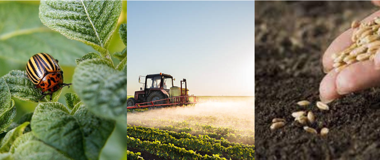 Inspection’s Tasks - Plant Health and Seed Inspection Service - Gov.pl ...