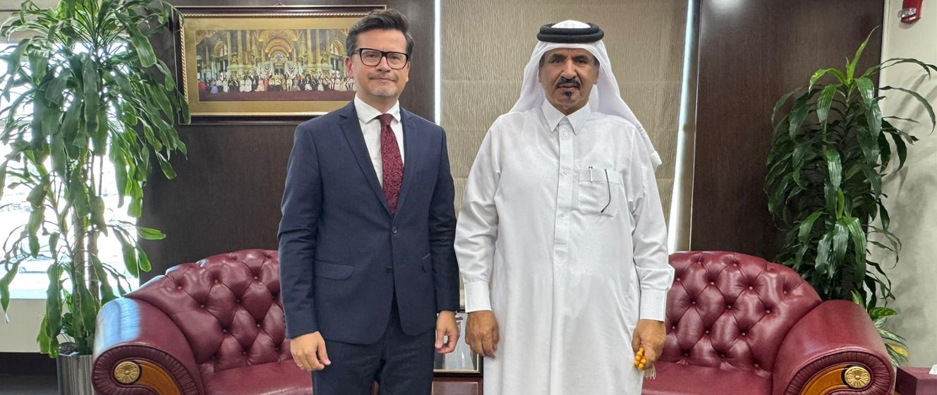 On the development of trade and investment cooperation in the Qatar ...