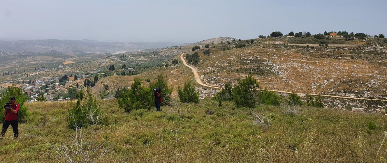 Visit to Sebastia and Burqa - Poland in Palestine - Gov.pl website