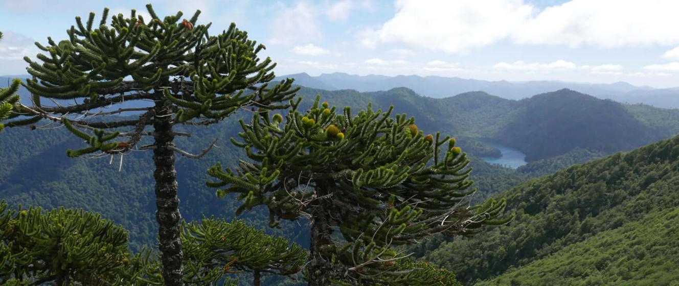 Información para turistas. - Polonia en Chile - Portal Gov.pl