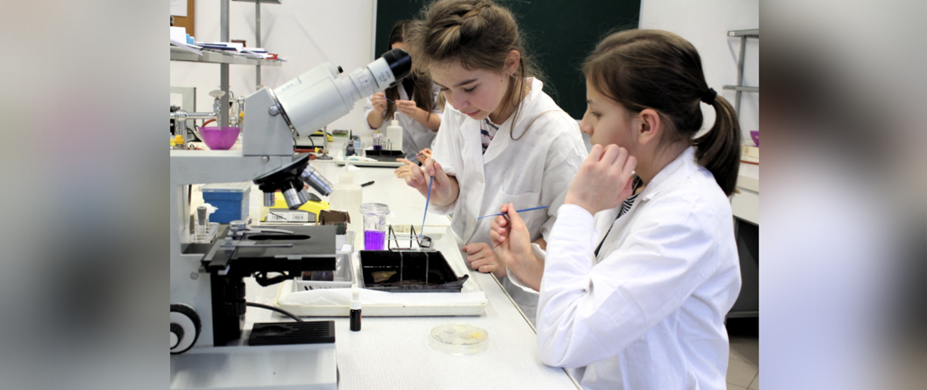 From gene to the ecosystem – an innovative programme for the development of key competences in ...