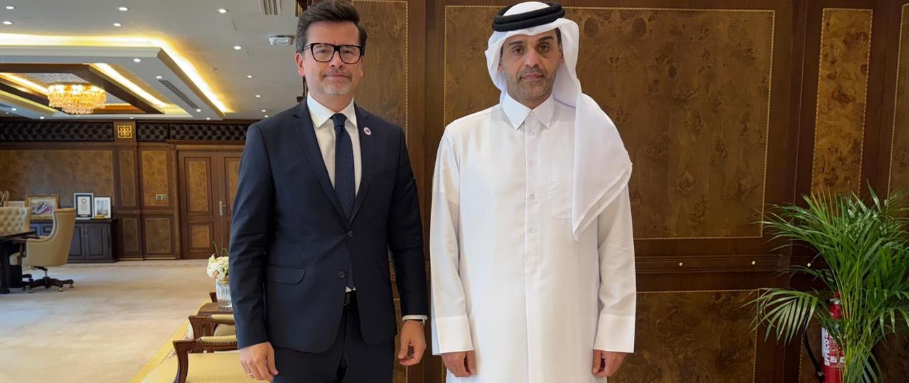 Polish-Qatari cooperation in the field of transport infrastructure ...