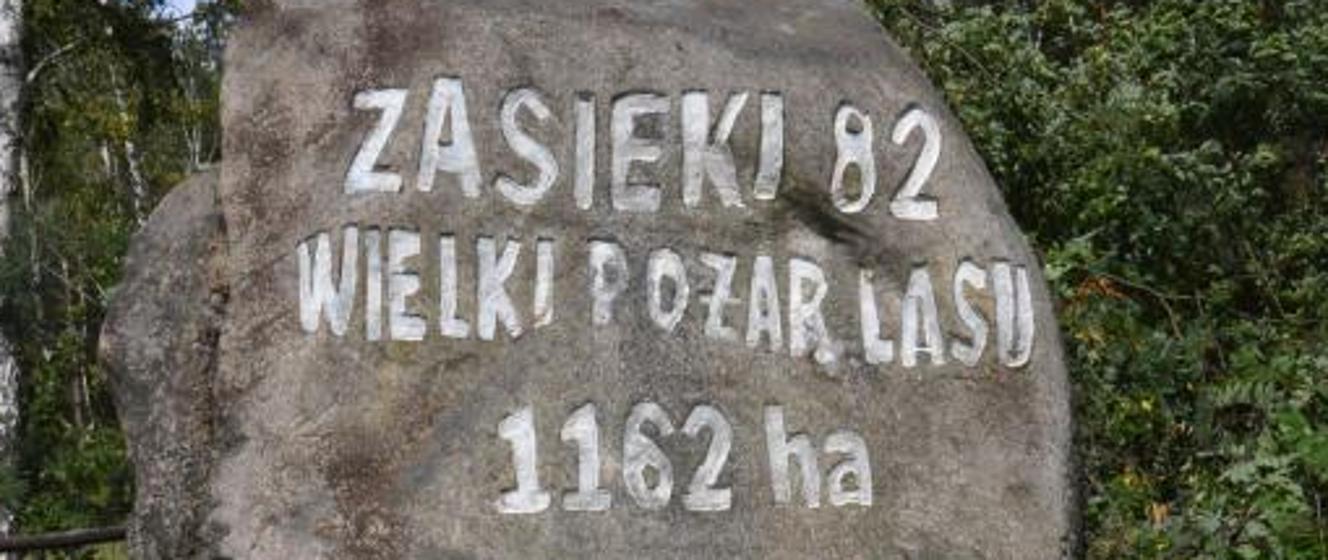 ZASIEKI 1982 - 40 lat po największym na ówczesne czasy pożarze w lasach ...