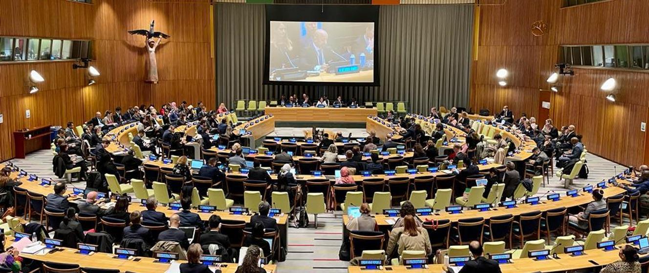 Meeting of legal advisers to ministries of foreign affairs in New York ...