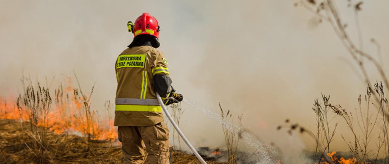 146 Polish firefighters will help to extinguish fires in France ...