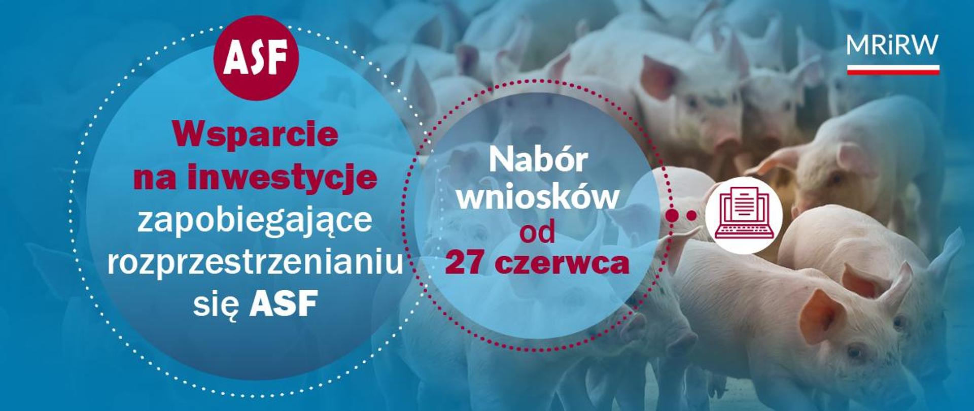 Inwestycje zapobiegające rozprzestrzenianiu się ASF – wnioski od 27 czerwca - Ministerstwo ...